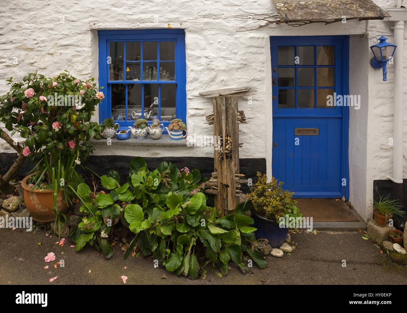 Pretty white-washed cottage, Port Isaac village, Cornwall, England ...
