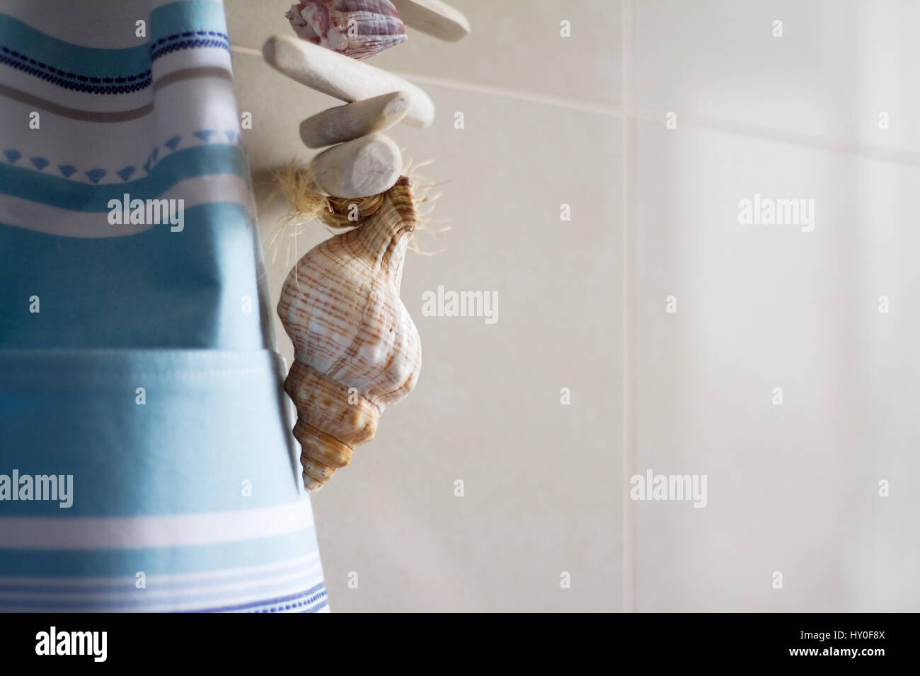 Finishing shells hi-res stock photography and images - Alamy