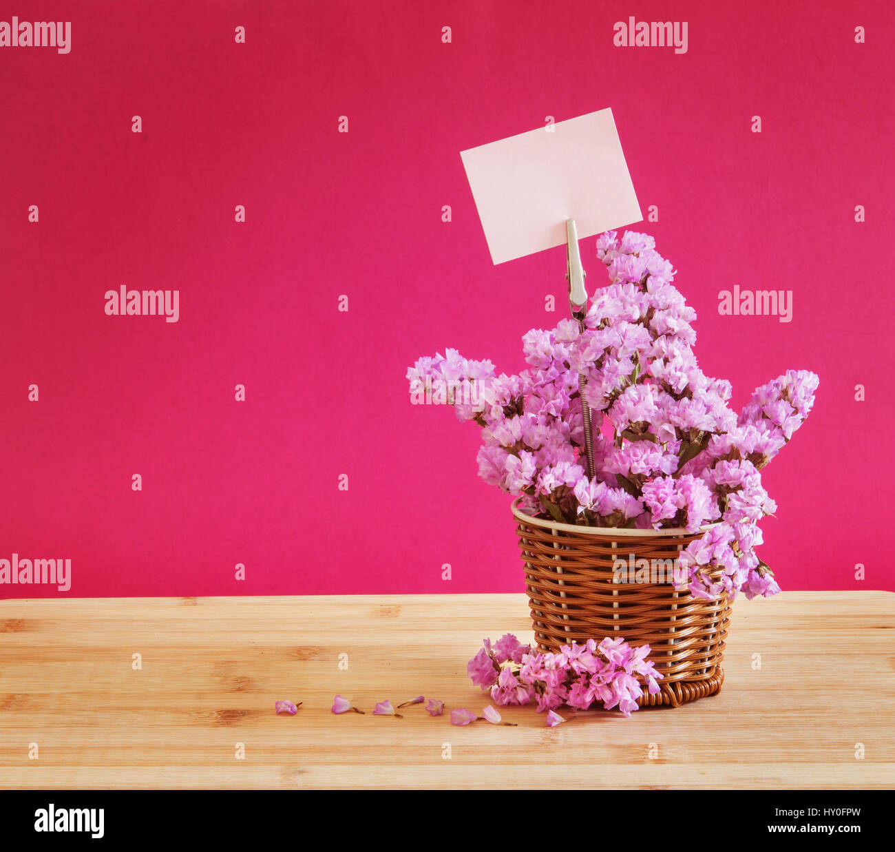 Statice flower hi-res stock photography and images - Alamy