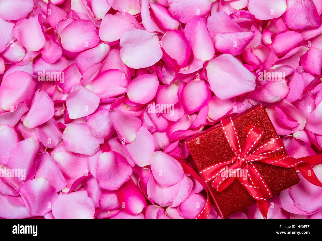Romantic red rose petals with gift box background Stock Photo - Alamy