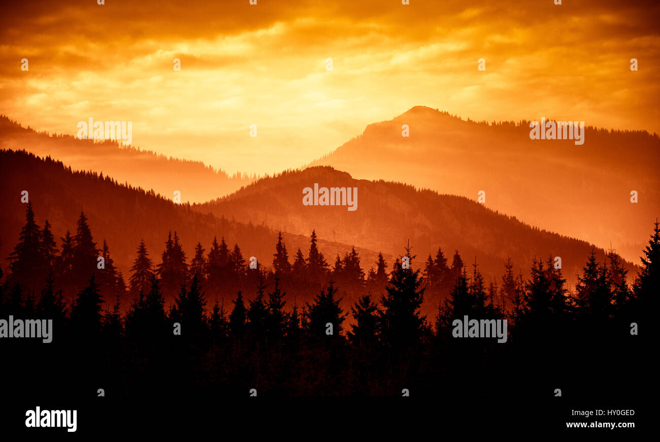A beautiful, colorful, abstract mountain landscape with trees in a red ...