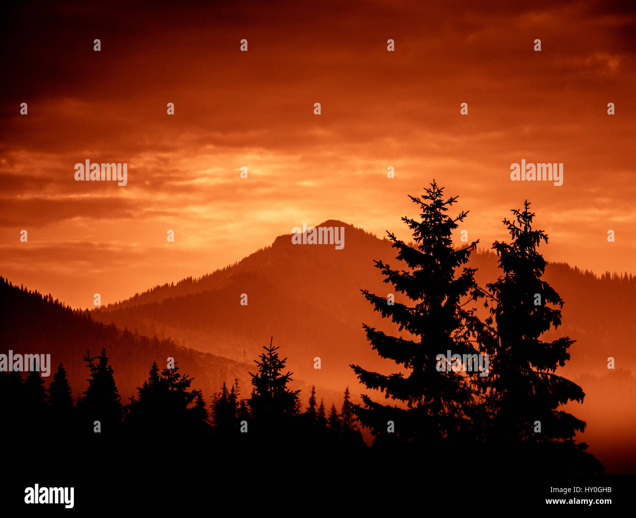 A beautiful, colorful, abstract mountain landscape with trees in a red ...