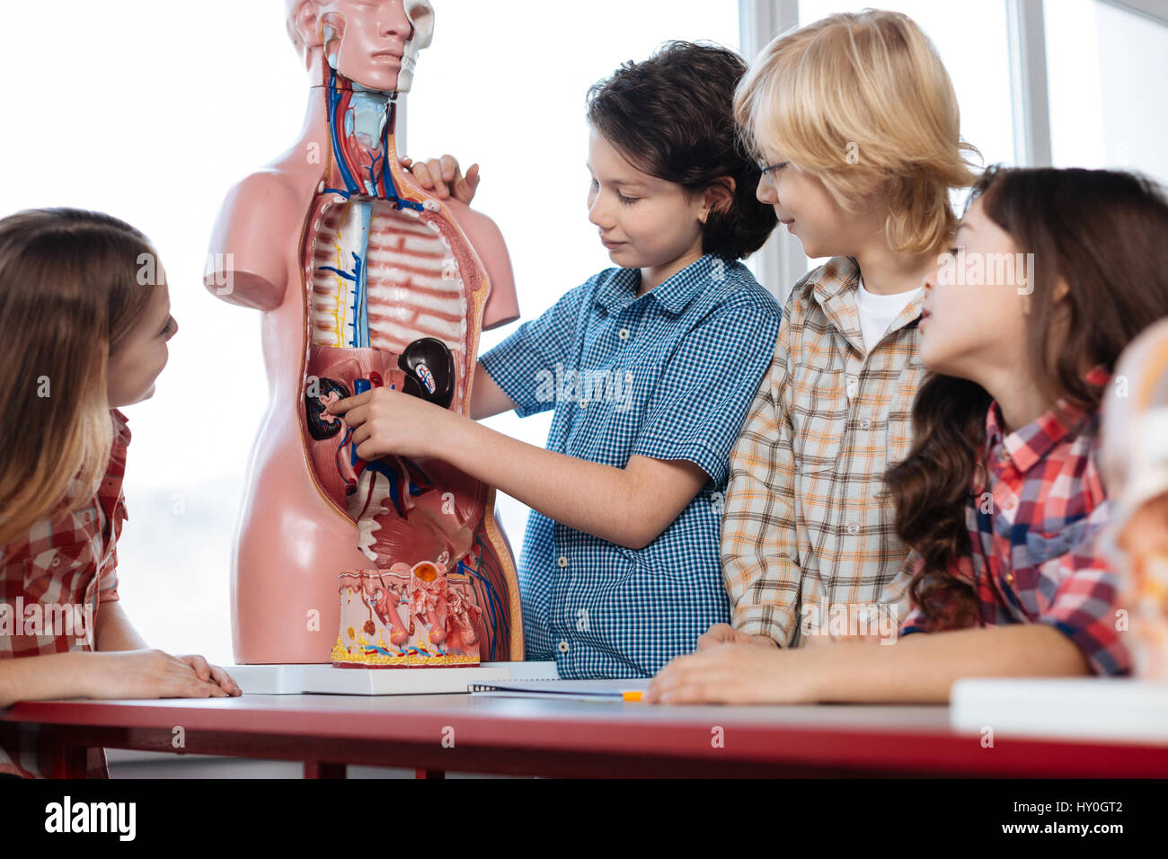 Human anatomy class hi-res stock photography and images - Alamy