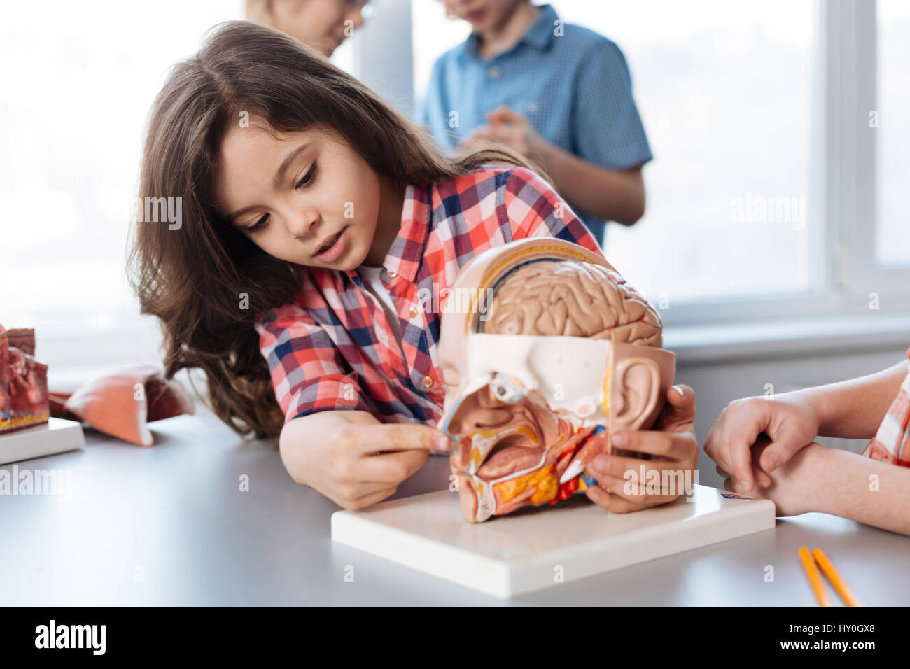 Adorable determined student concentrating on the study Stock Photo - Alamy