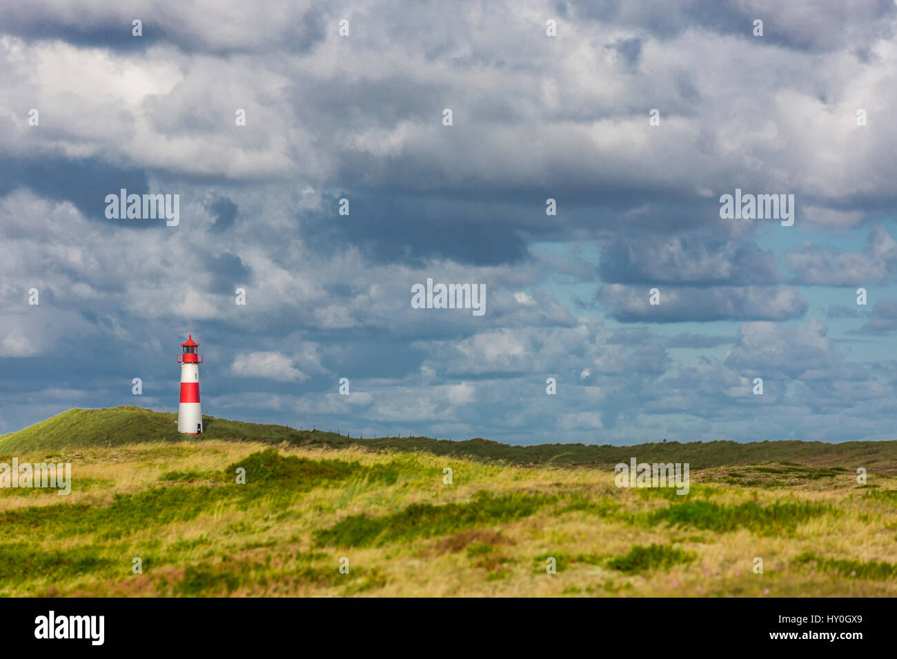 Lighthouse Lister Ellenbogen Sylt, Germany Stock Photo - Alamy
