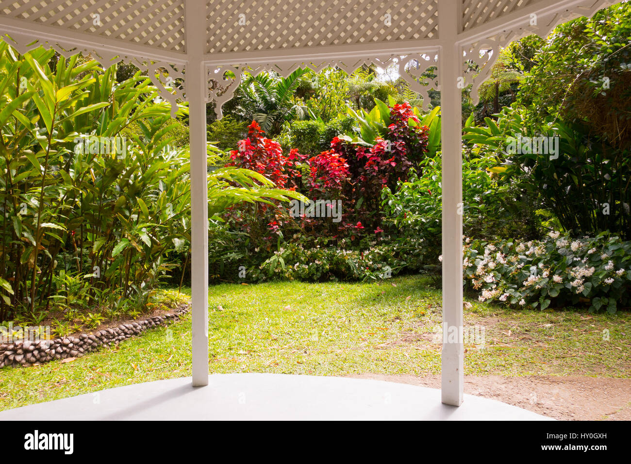 Diamond Falls Botanical Gardens at Soufriere on St Lucia in the ...