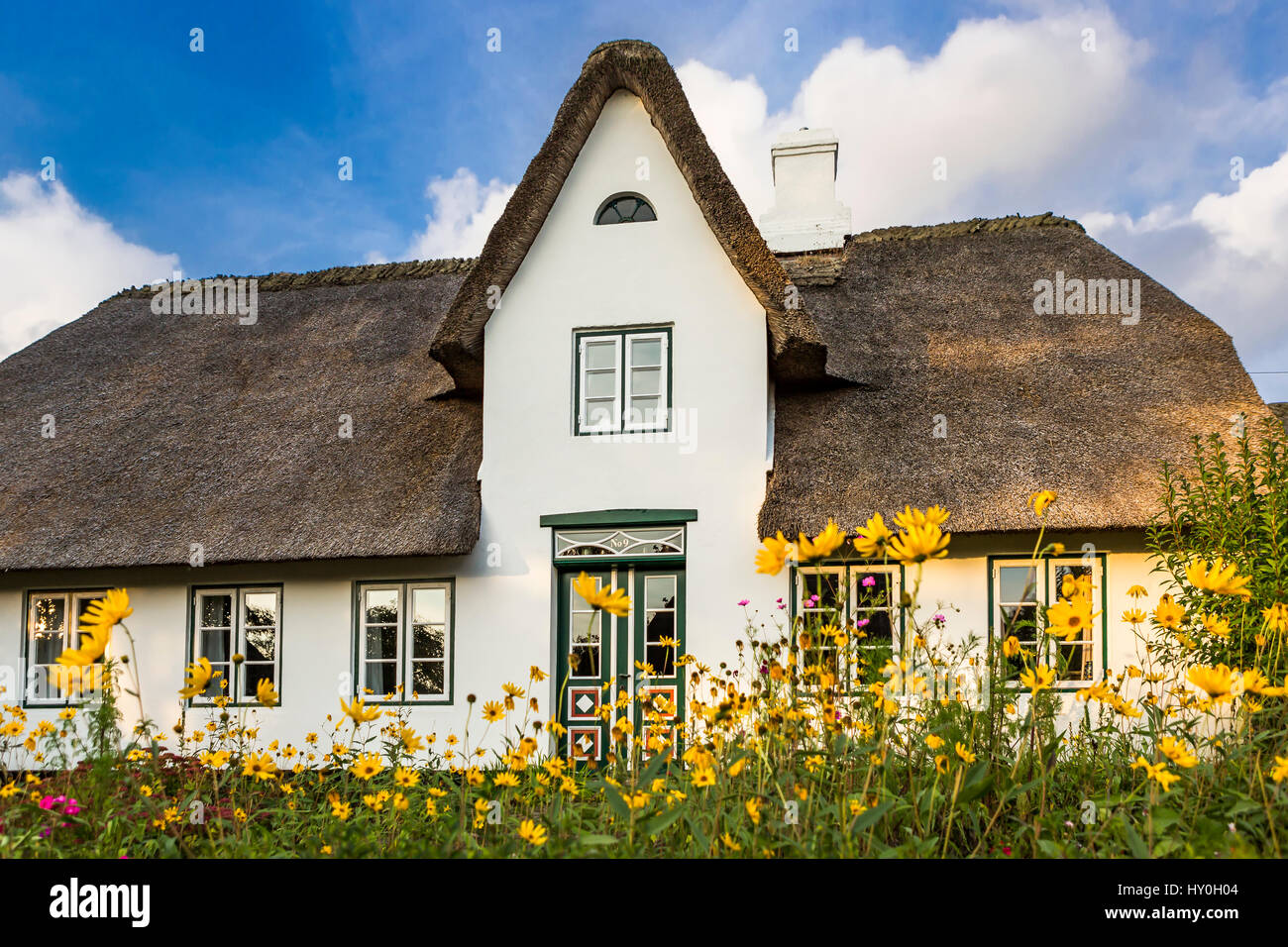 frisian house, Keitum, Sylt, Germany Stock Photo - Alamy