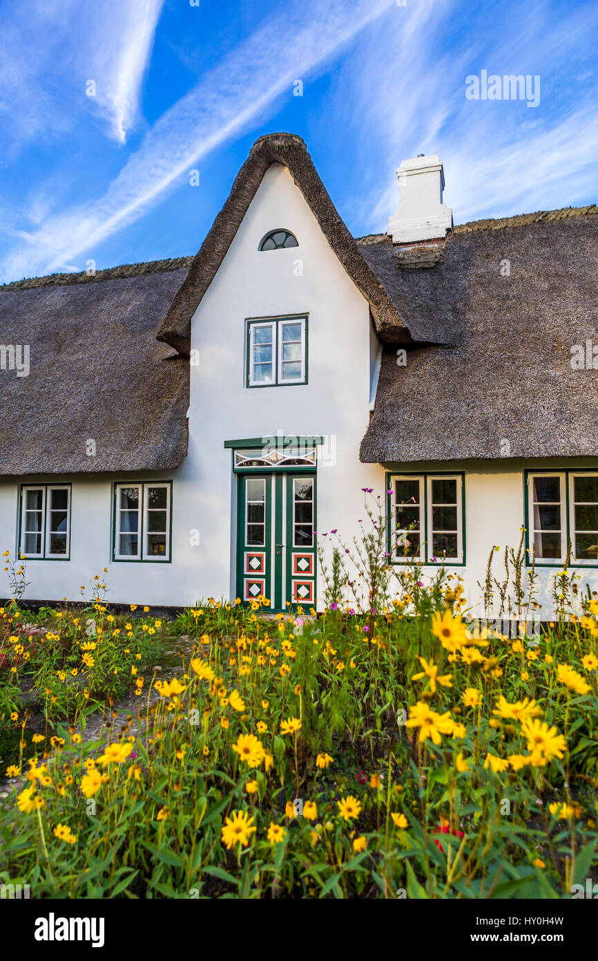 frisian house, Keitum, Sylt, Germany Stock Photo - Alamy