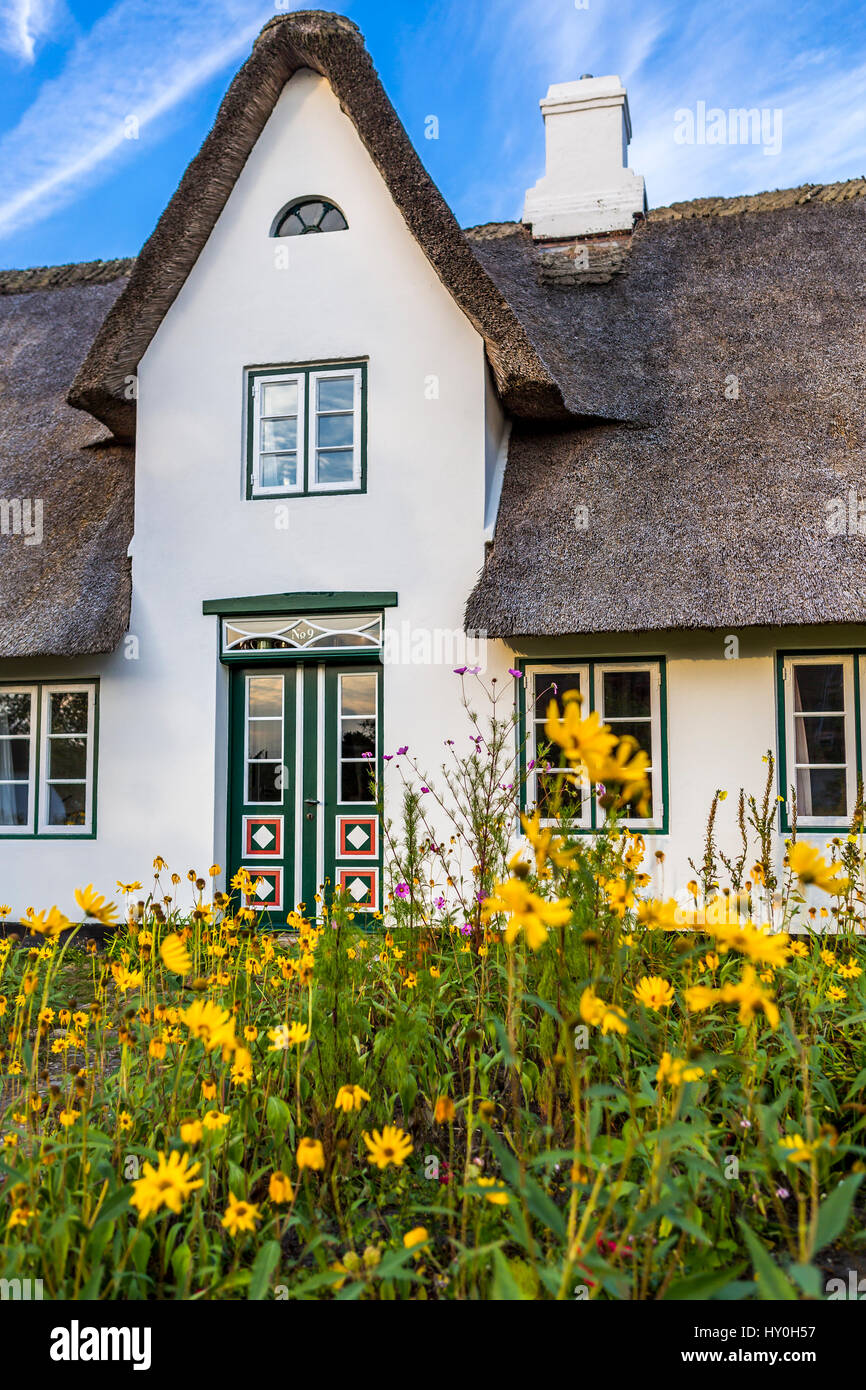frisian house, Keitum, Sylt, Germany Stock Photo - Alamy