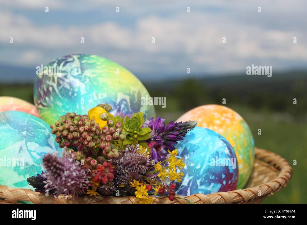 Colored easter eggs in basket and spring flowers Stock Photo - Alamy