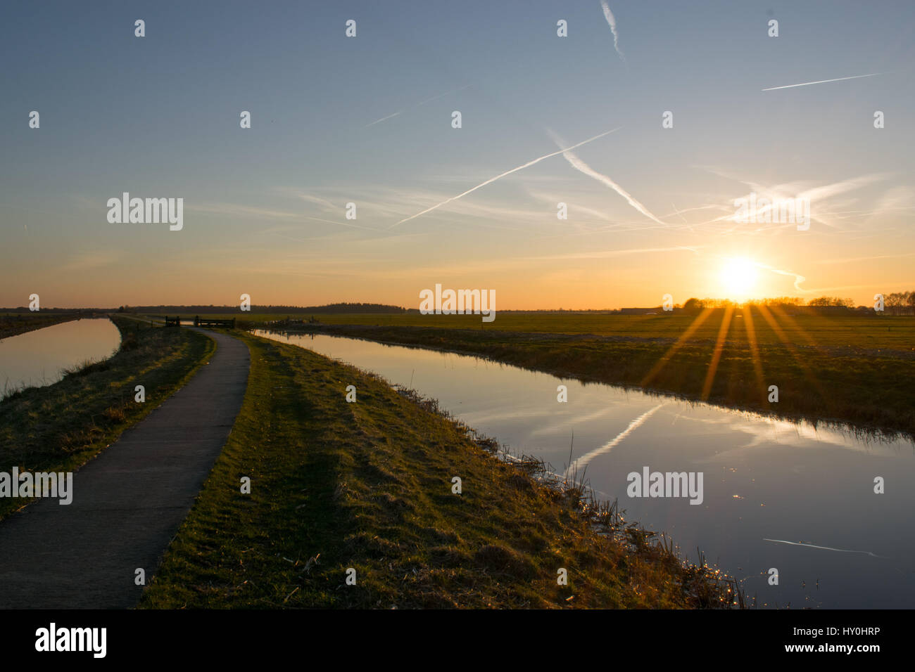 Friesland leaves hi-res stock photography and images - Alamy