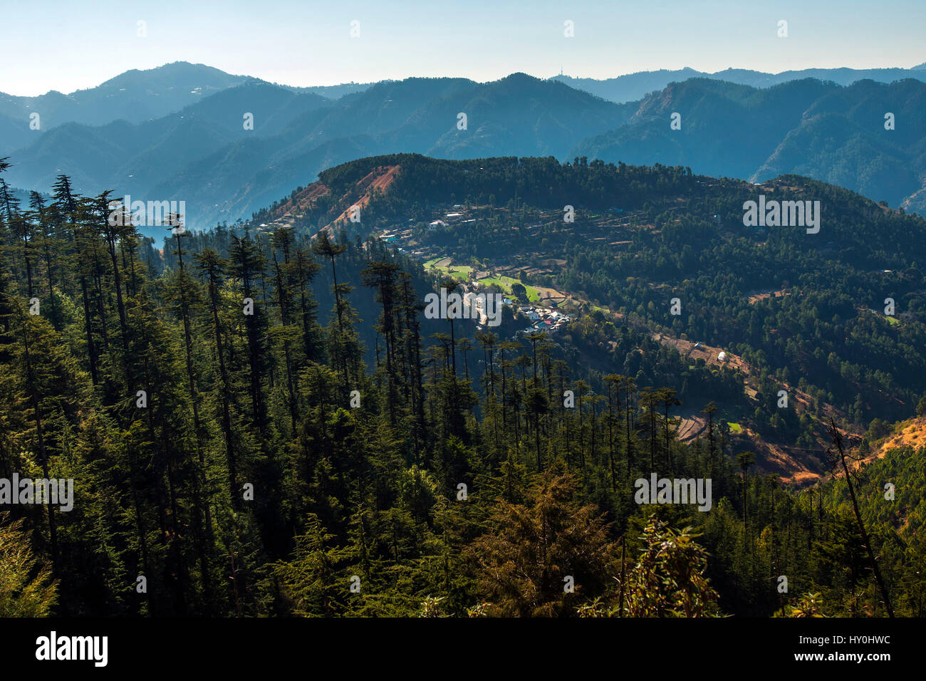 Mountains, mashobra, himachal pradesh, india, asia Stock Photo - Alamy