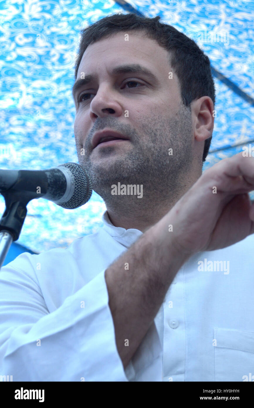 Indian national congress party, politician, rahul gandhi, india, asia ...