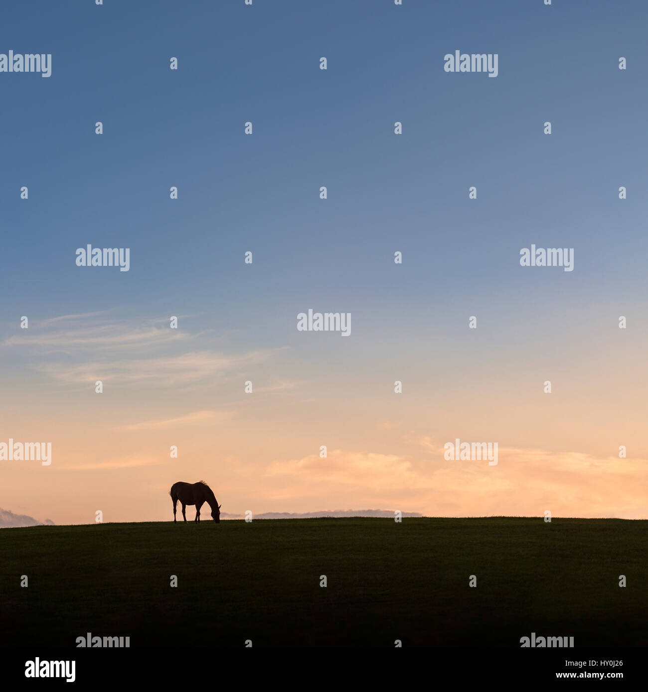 Horse silhouette at sunset hi-res stock photography and images - Alamy