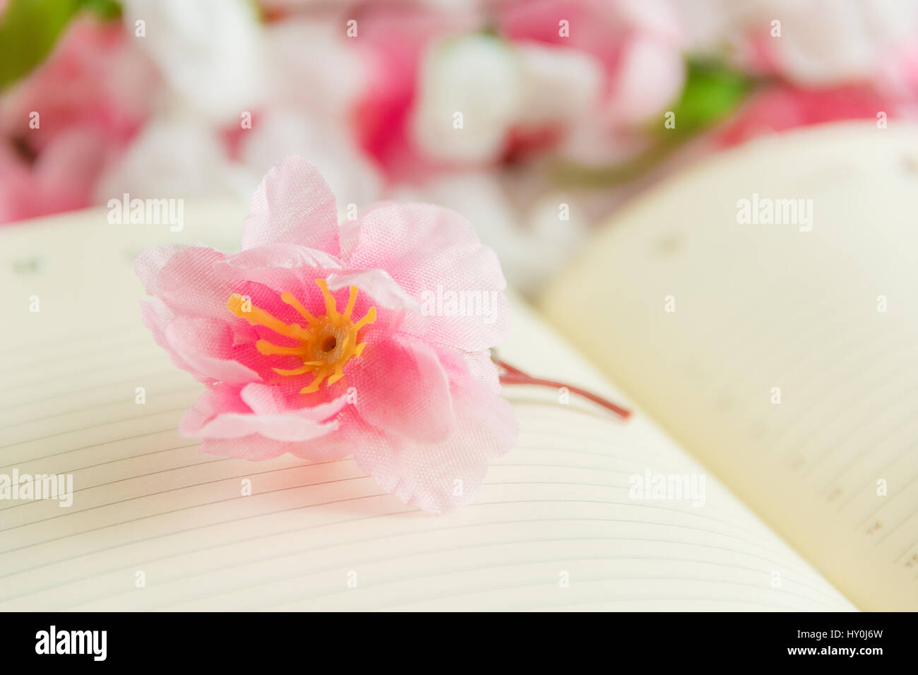 Flower on open blank note book against flower background Stock Photo ...