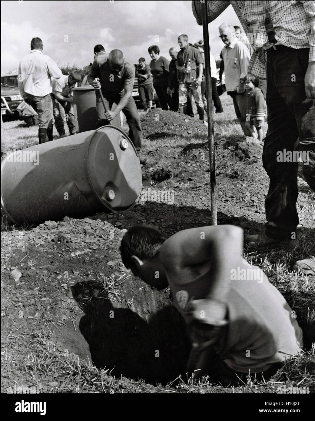 Cornish men dig a hole bury a barrel contest barrel digging contest ...