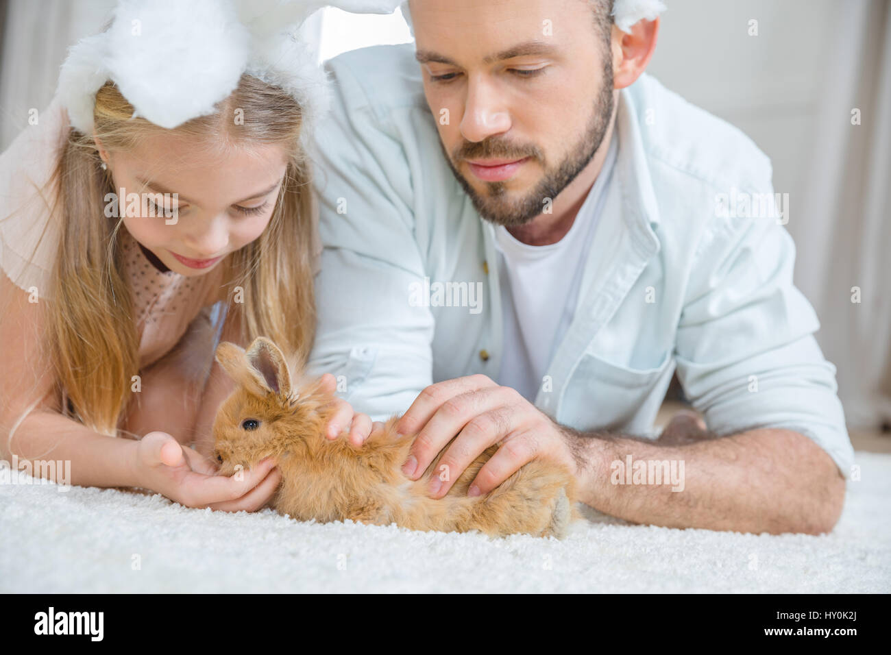Daddy bunny hi-res stock photography and images - Alamy