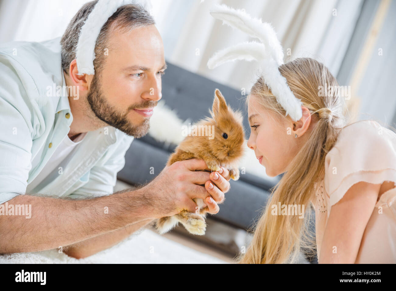 Daddy bunny hi-res stock photography and images - Alamy