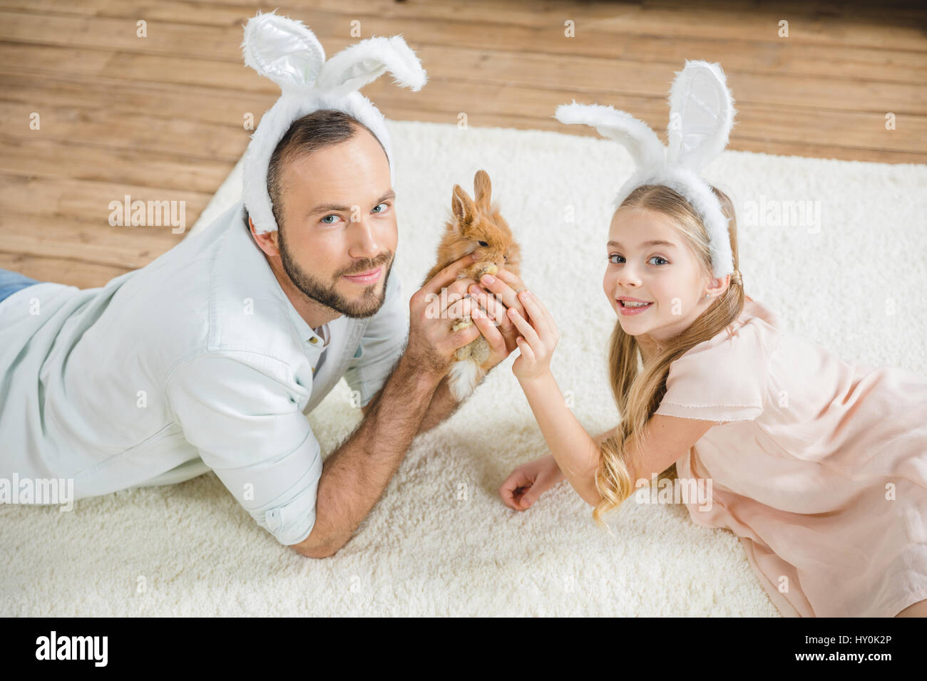 Daddy bunny hi-res stock photography and images - Alamy
