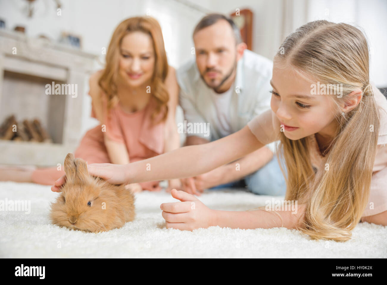 Happy family with one child playing with cute fluffy rabbit at home ...