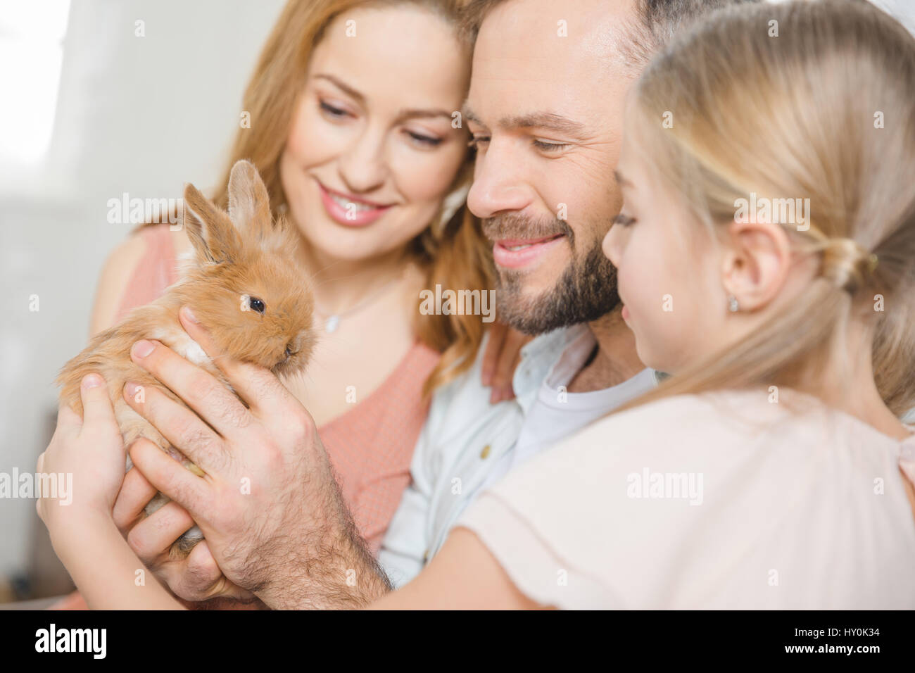 Portrait of happy family with one child playing with cute fluffy rabbit ...