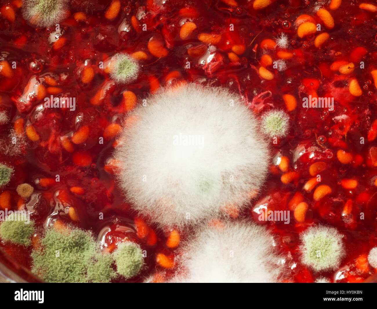 Mold on the poor quality of the raspberry jam in a glass jar, top view ...