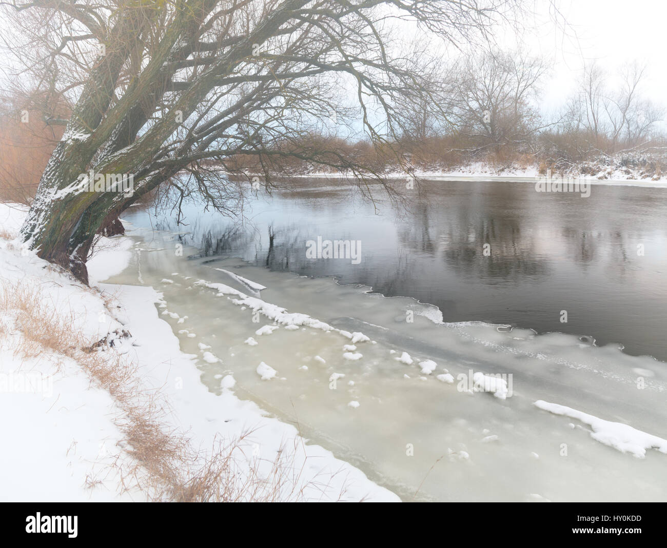 winter landscape on the river near the forest.Covered with snow and ...