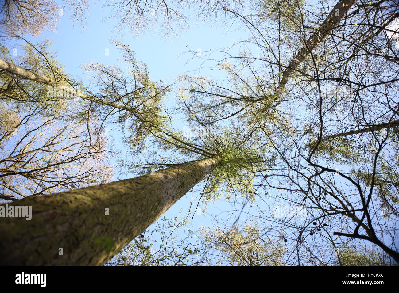 Best sky photos hi-res stock photography and images - Alamy