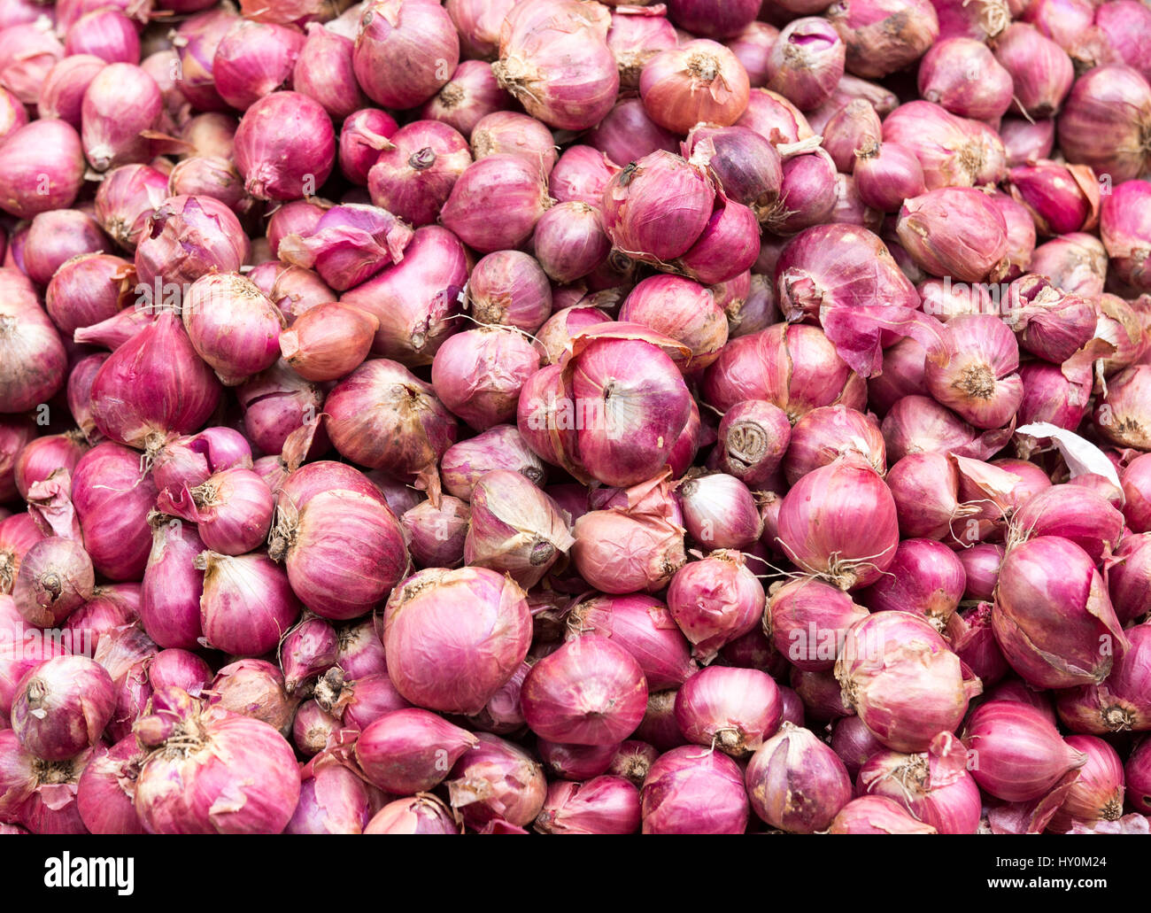Red onion close up background Stock Photo - Alamy