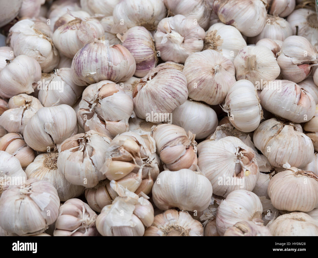garlic background close up background Stock Photo - Alamy