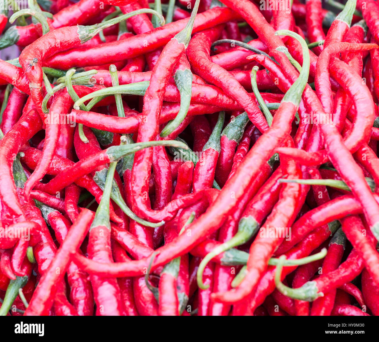 fresh red chili pepper background image Stock Photo - Alamy