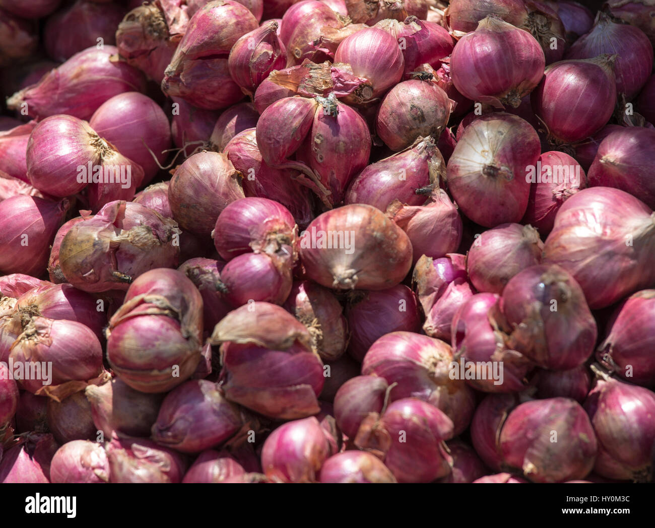 Red Onion Background at market in Asia Stock Photo - Alamy