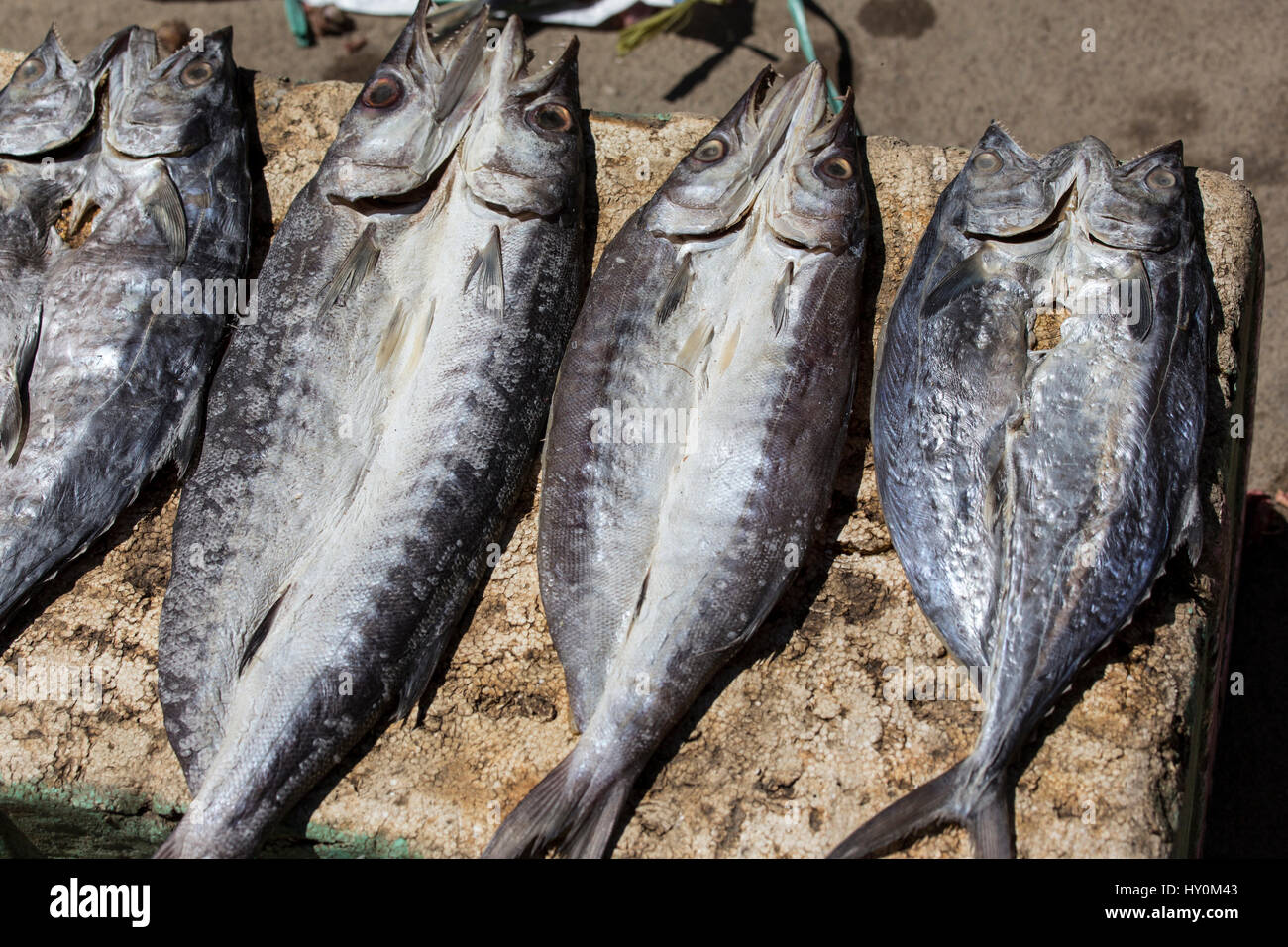 Fish preservation by drying in Indonesia Stock Photo - Alamy