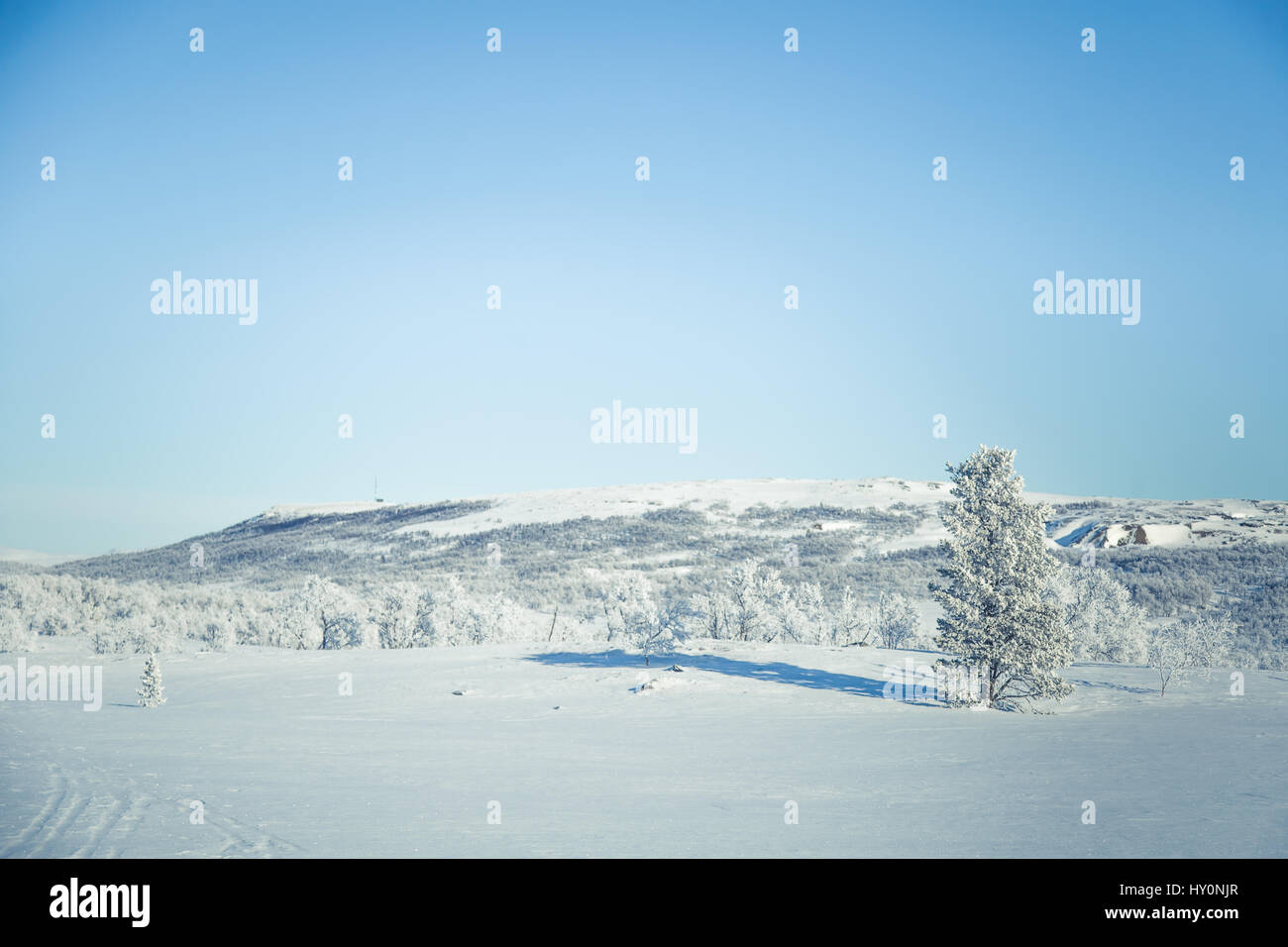 A beautiful white landscape of a snowy Norwegian winter day Stock Photo ...