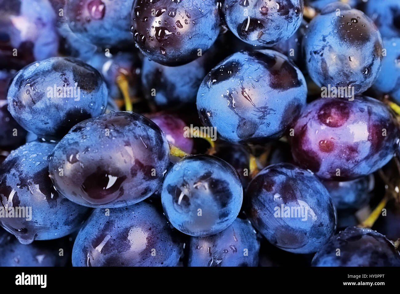 Bunch of grapes for backgrounds or textures Stock Photo - Alamy