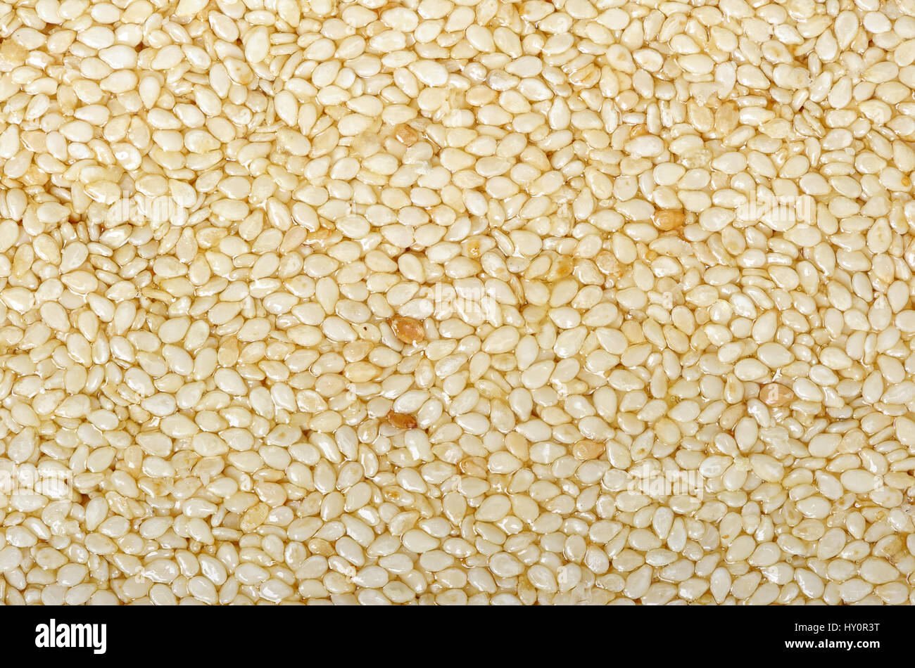 Sesame honey bar texture Stock Photo - Alamy