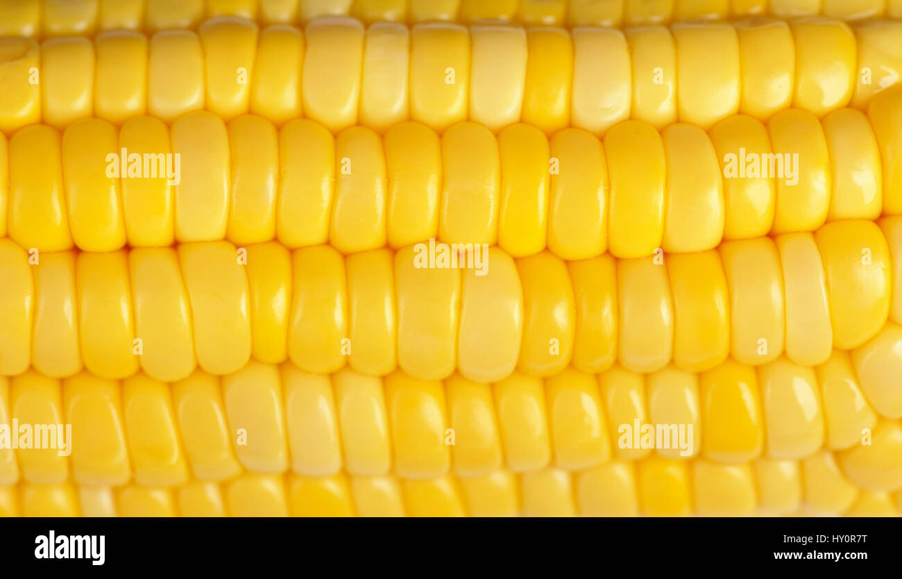 Yellow corn background macro closeup Stock Photo - Alamy