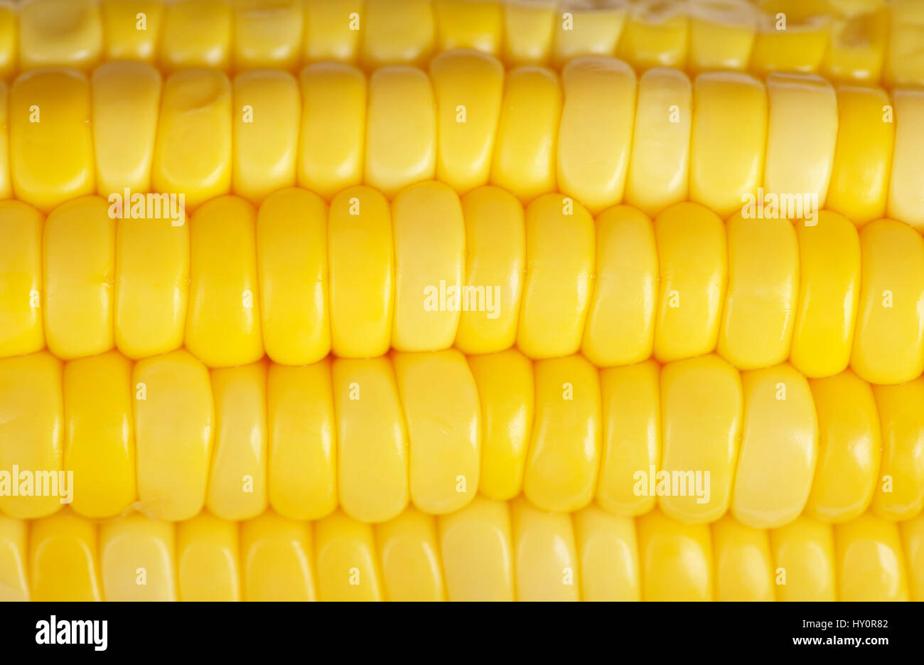 Wallpaper sweetcorn hi-res stock photography and images - Alamy