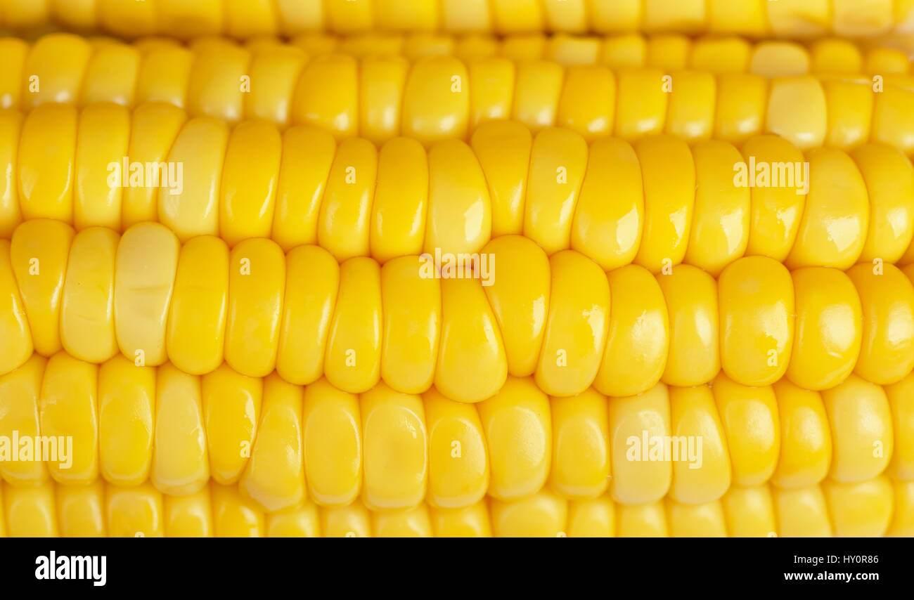 Yellow corn background macro closeup Stock Photo - Alamy
