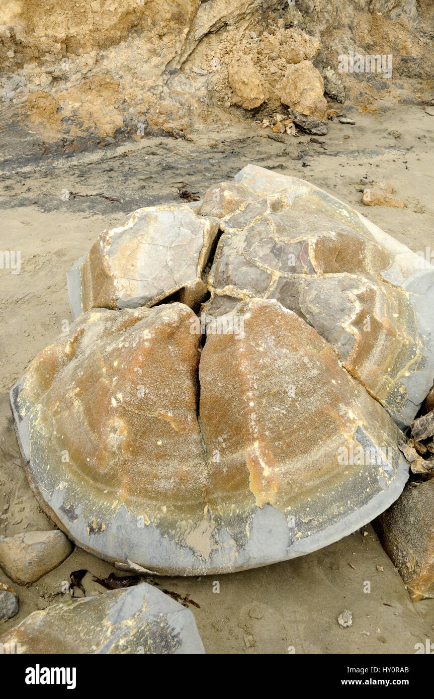 Remnants from one of the famous boulders on Koekohe Beach, Moeraki. The ...
