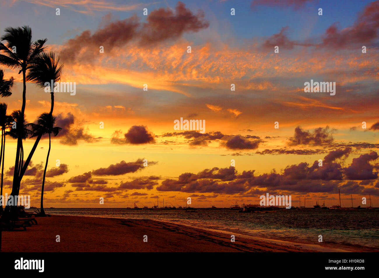 Beautiful tropical sunset, HDR Stock Photo - Alamy
