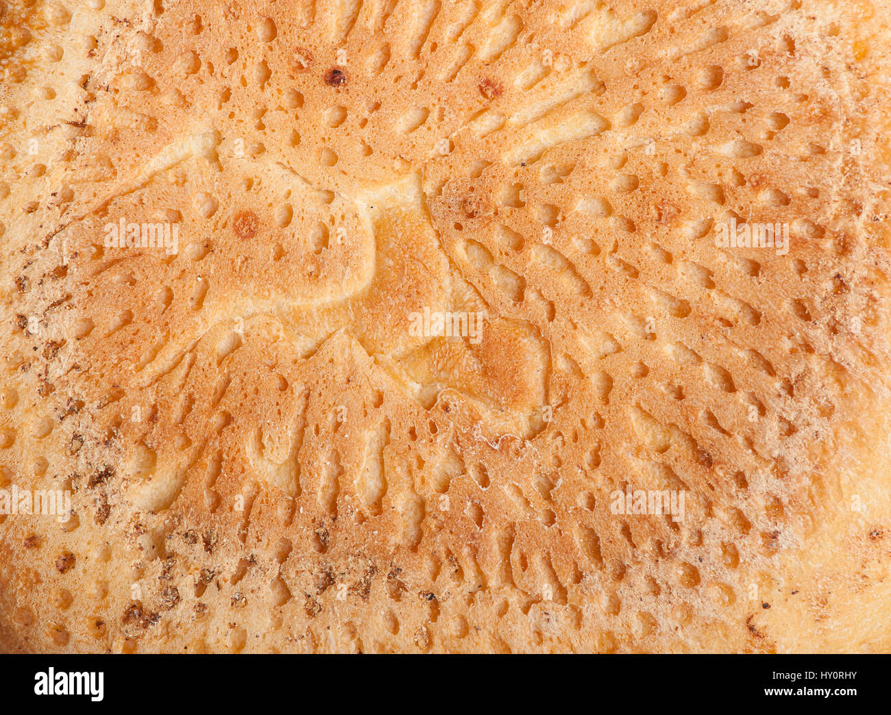 Baked bread texture Stock Photo - Alamy