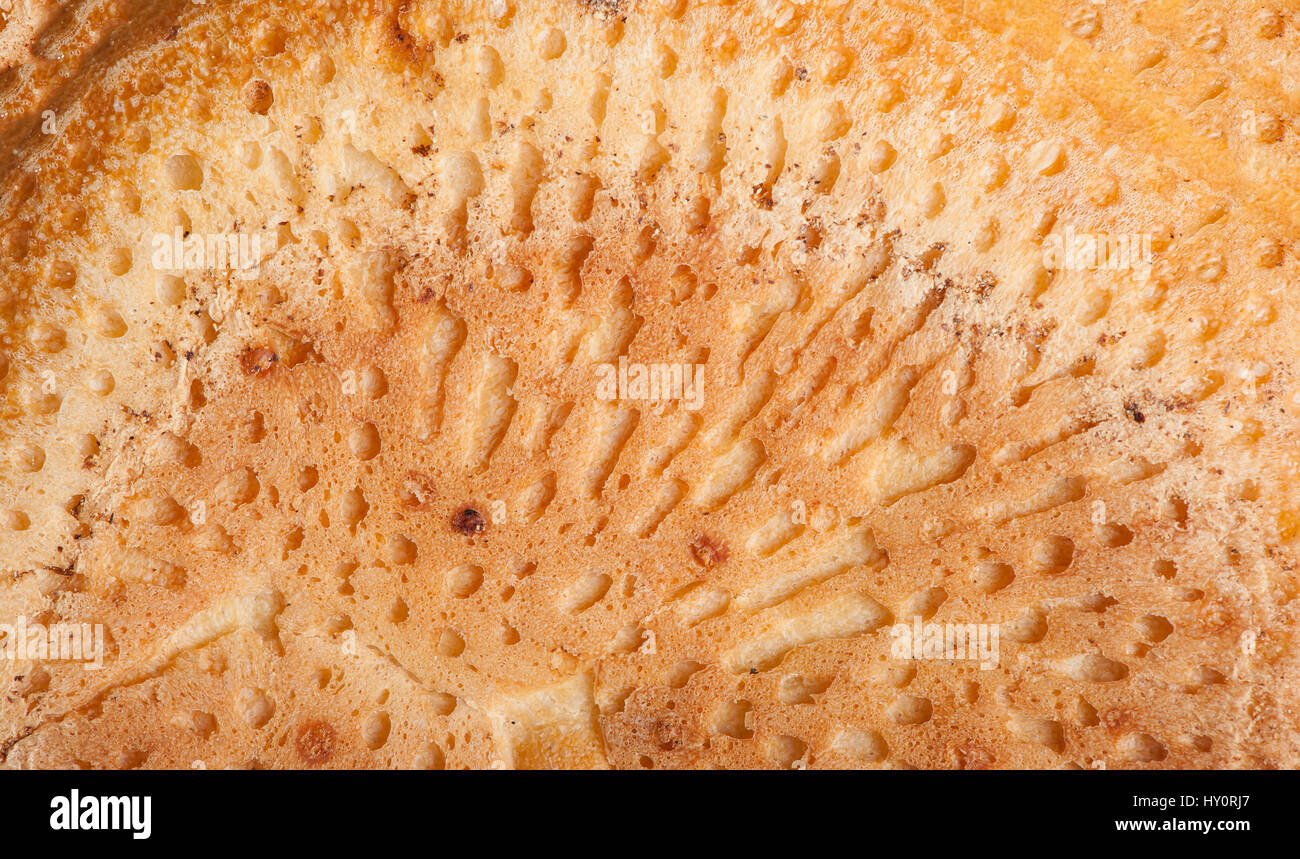 Baked bread texture Stock Photo - Alamy