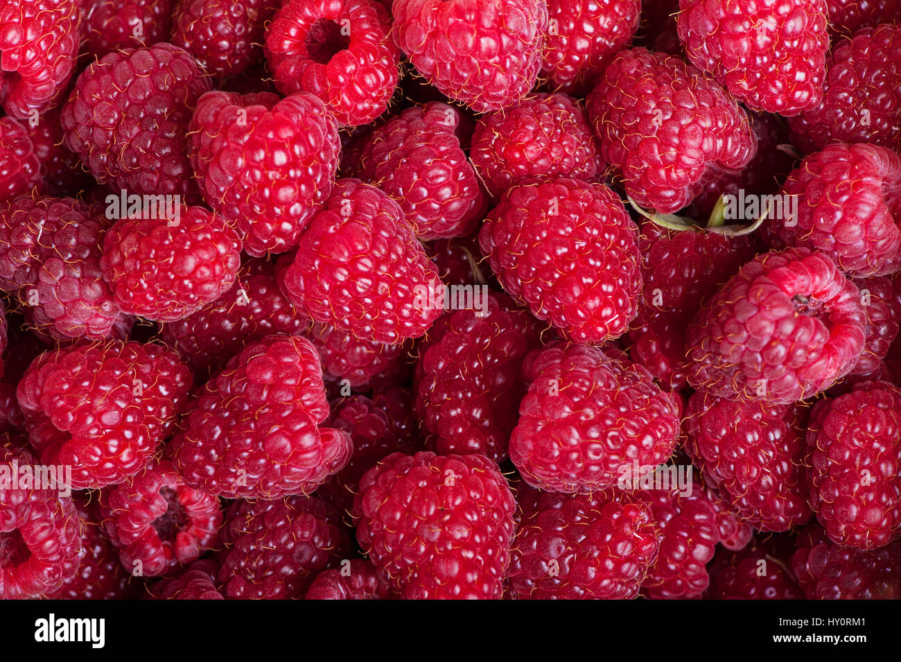 Delicious first class fresh raspberries Stock Photo - Alamy