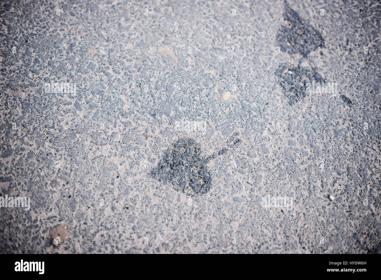 Cement Imprint High Resolution Stock Photography and Images - Alamy
