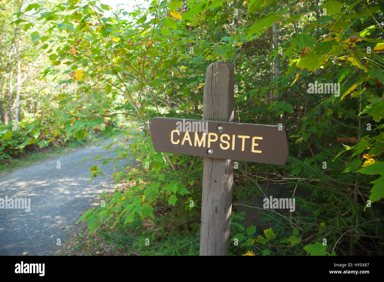 A Minnesota Department of Natural Resources campsite sign near a lake ...