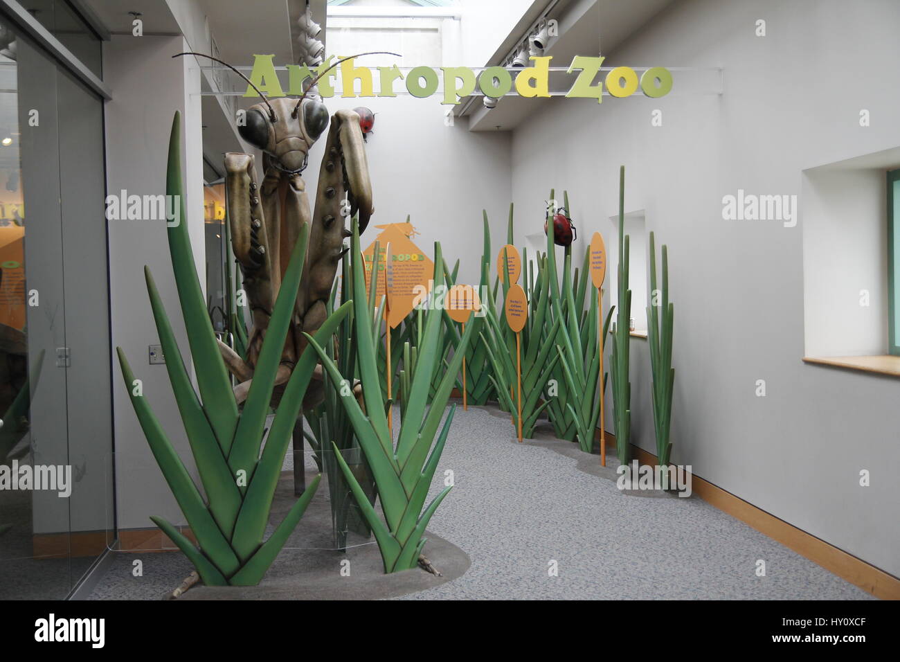 Arthropod zoo display North Carolina Museum of Natural Science Raleigh ...