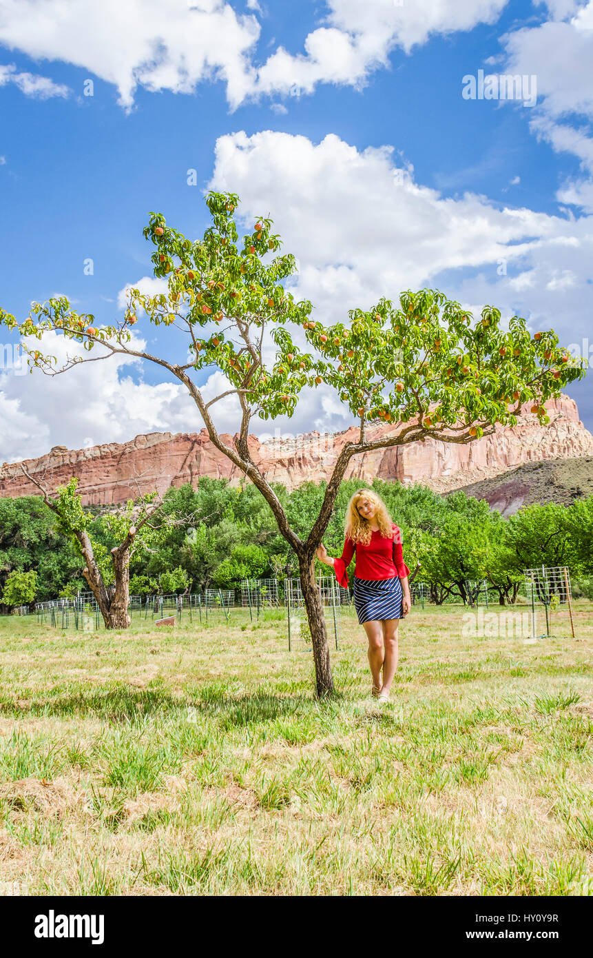 Young woman standing under peach tree with hanging orange ripe fruit in ...