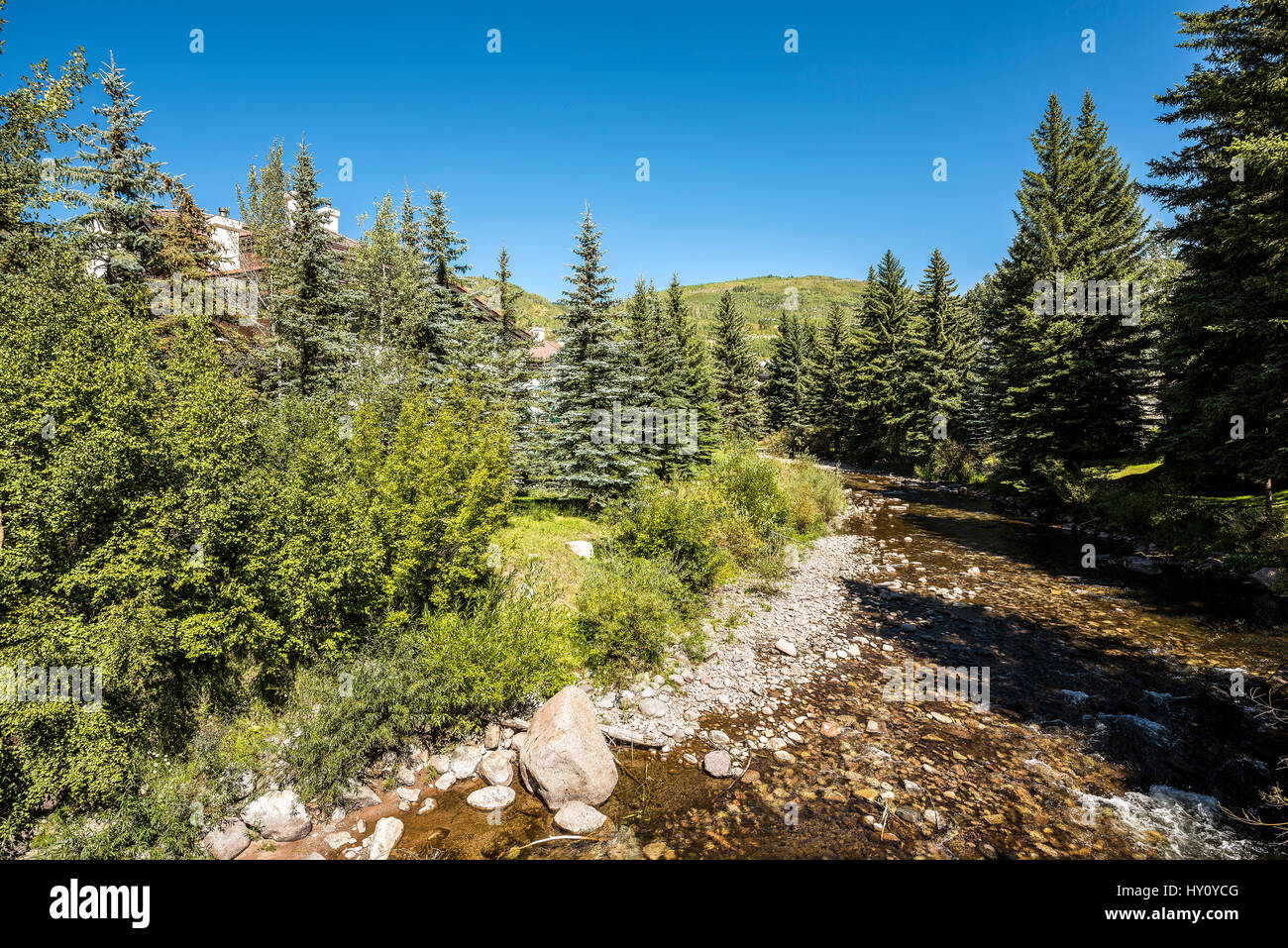 Gore creek in Vail, Colorado with pine tree forest Stock Photo - Alamy