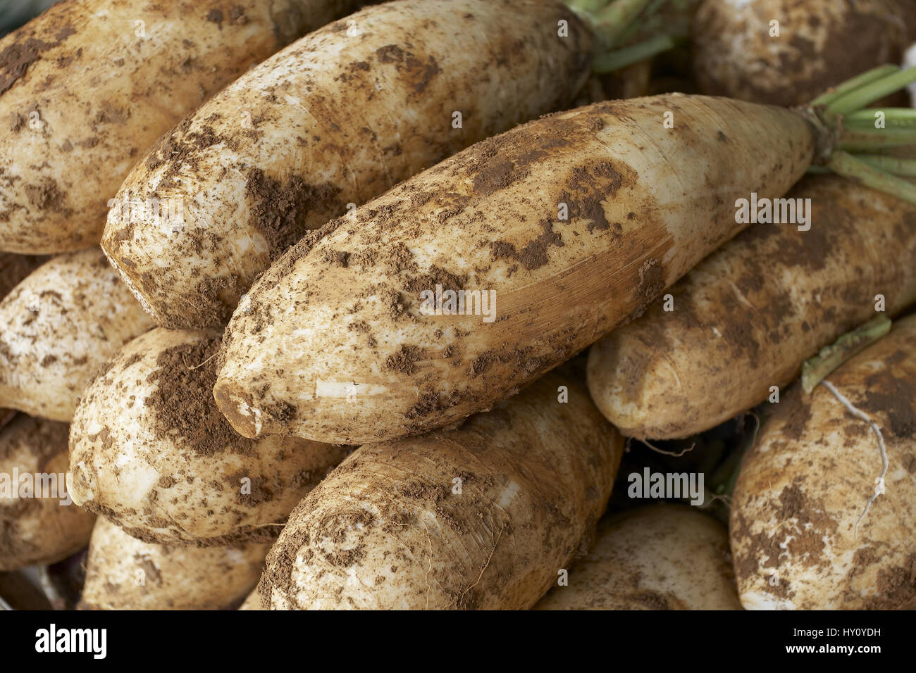 Lohas garden hi-res stock photography and images - Alamy